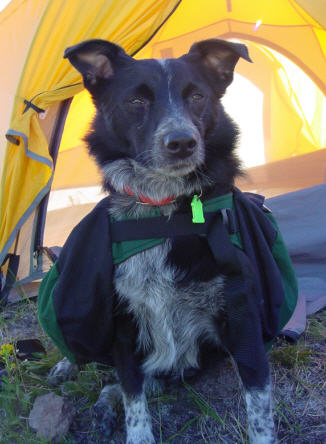 Mark James NAU Home Page